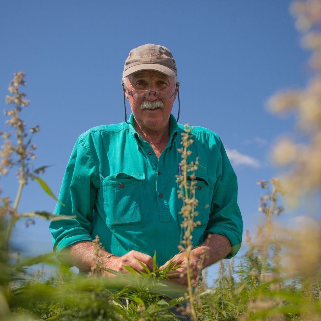 5 HEMP PLANT FACTS VS FICTION – Australian Primary Hemp